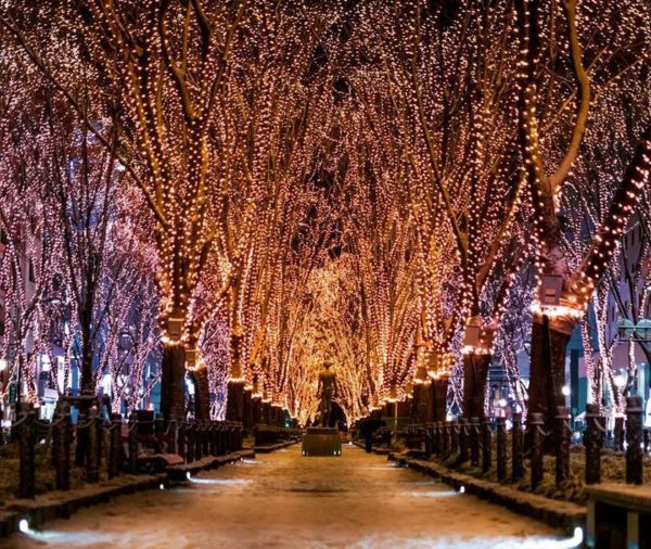 Sendai Pageant of Starlight | VISIT MIYAGI