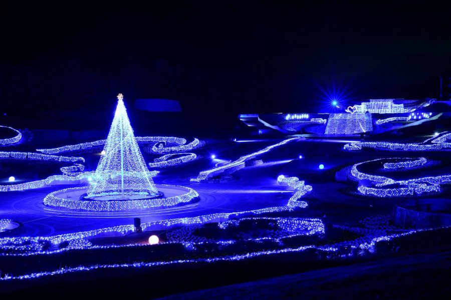 Michinoku Park Winter Illumination VISIT MIYAGI